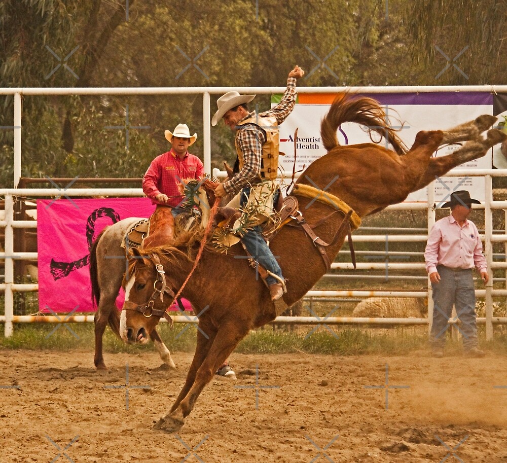 "Rodeo A Wild Horse Kicks Its Back Legs High in the Air" by Buckwhite ...