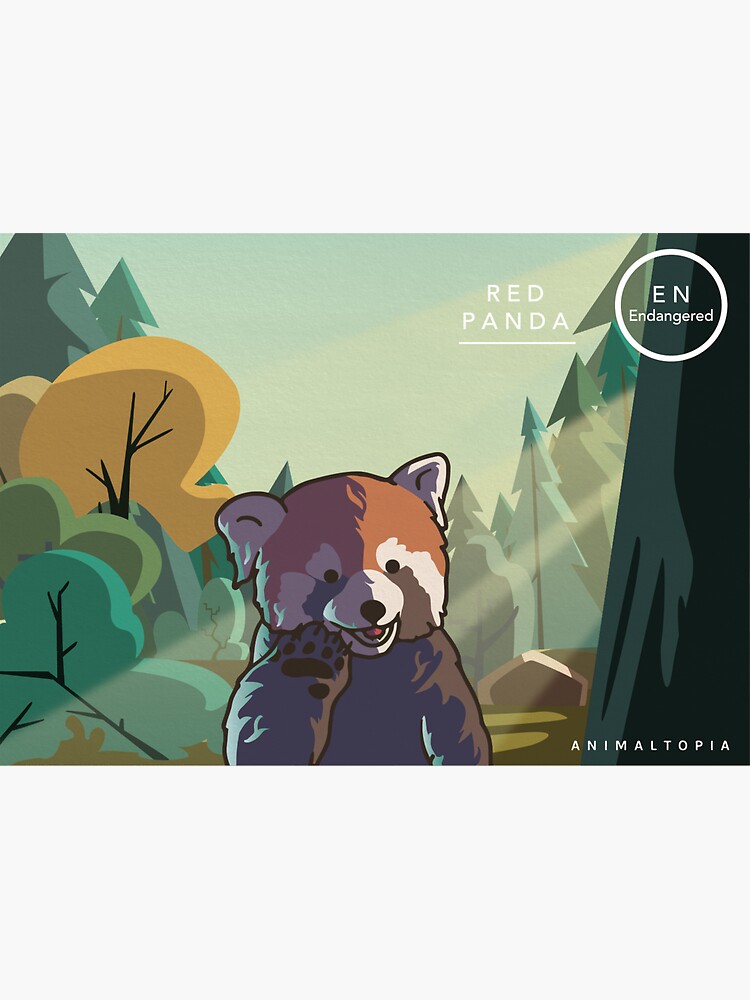 Pegatina «Animaltopia - Panda rojo: Lista Roja de la UICN (EN). Tarjeta ...