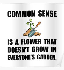 Common Sense: Posters | Redbubble
