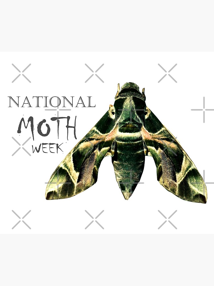 "National Moth Week" Poster by WildernessShop | Redbubble