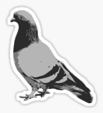 Pigeon: Stickers | Redbubble