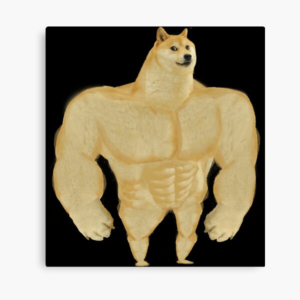 Impression sur toile « Doge buff muscle bulk big dog meme abs dog shiba ...