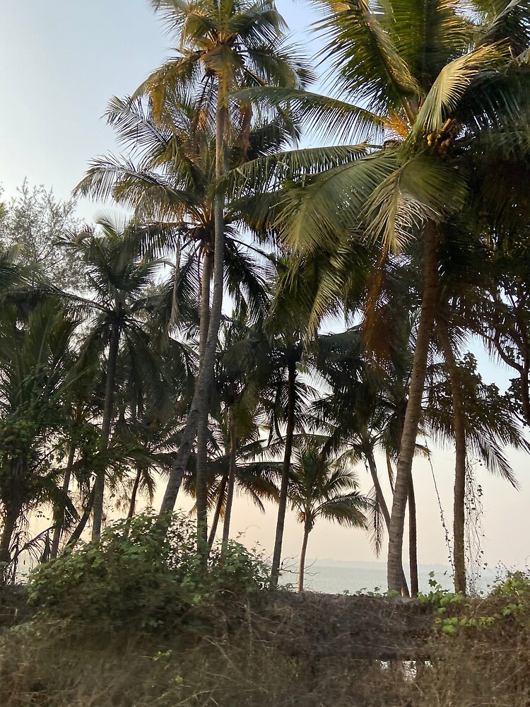 "Tropical " Poster by Aashima02 | Redbubble