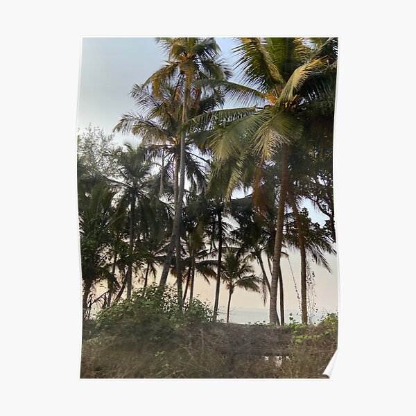 "Tropical " Poster by Aashima02 | Redbubble