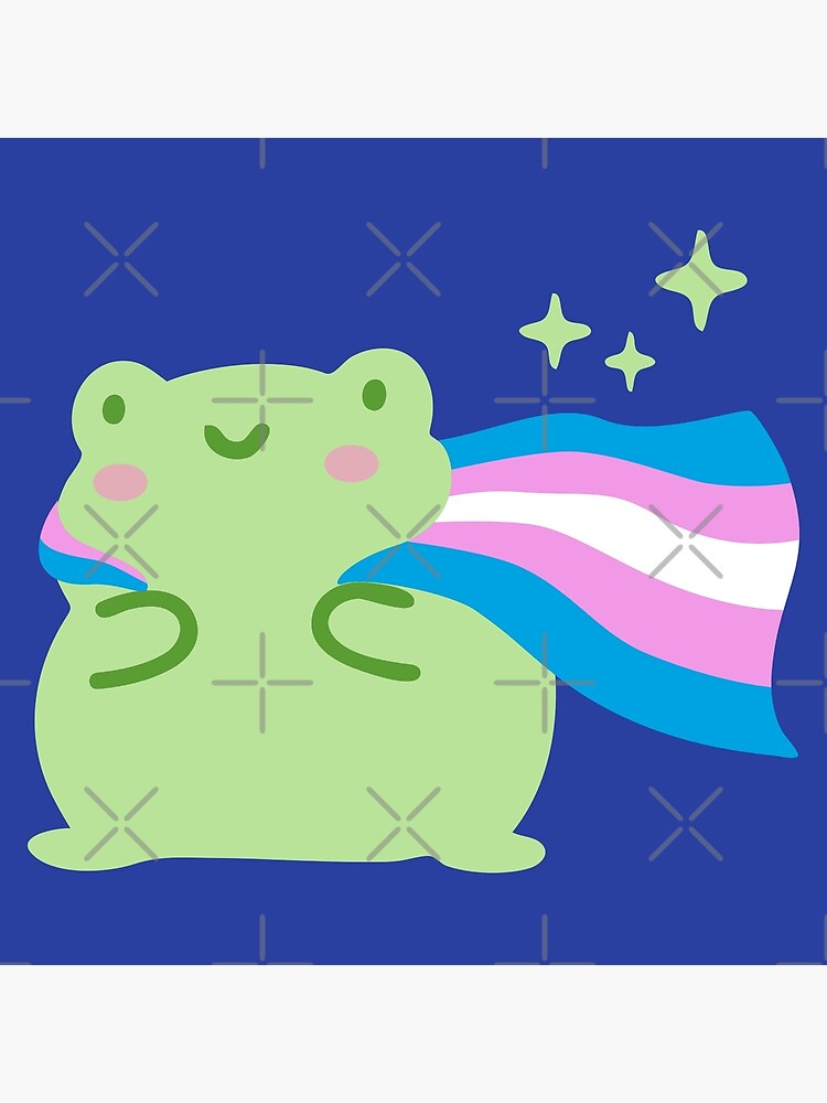 "LGBTQ Transgender Pride flag frog" Poster by pookkudesign | Redbubble