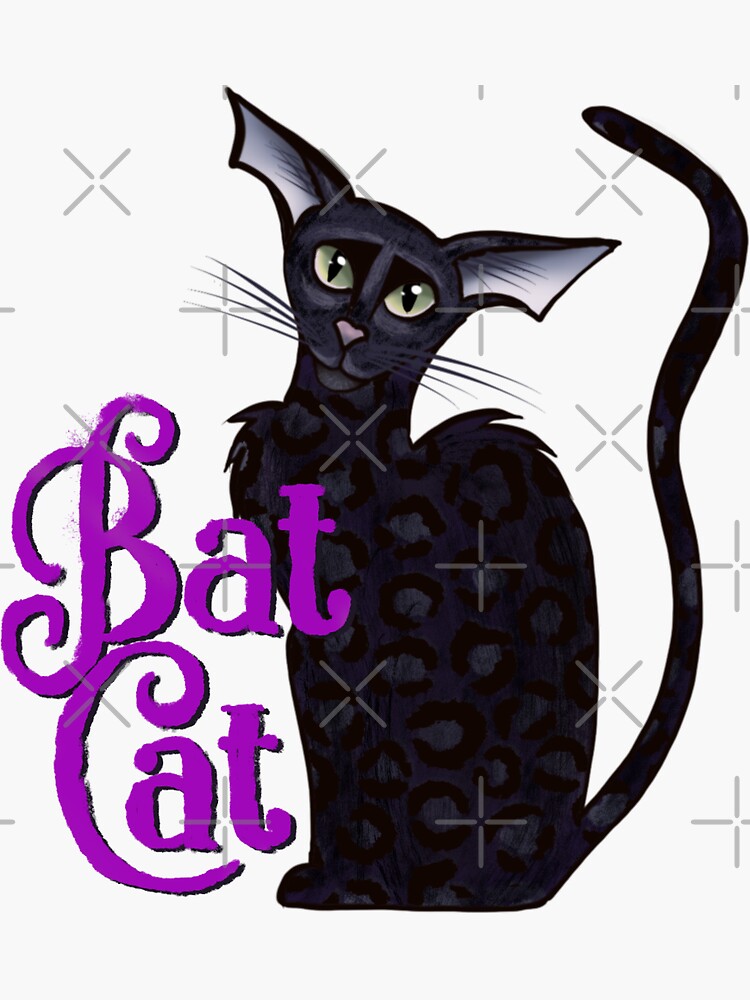 "Black Bat Cat" Sticker for Sale by topnotchvintage | Redbubble