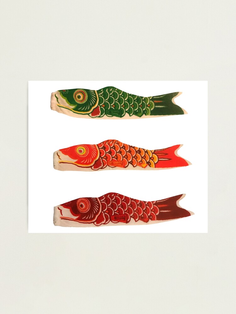 Japanese Koi Fish Kites