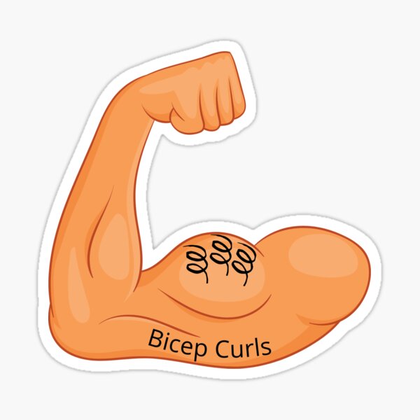 "Curly Bicep Curls" Sticker by kathysz | Redbubble