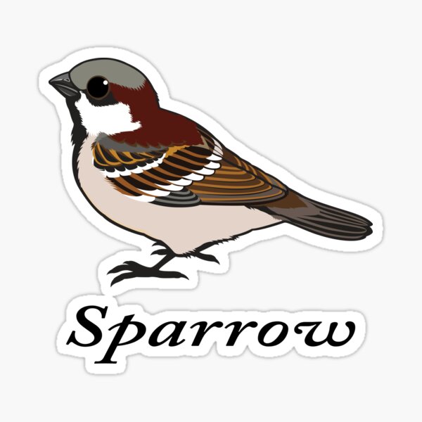 Papercraft Paper, Party & Kids Song Sparrow Decal Bird Sticker Bird ...