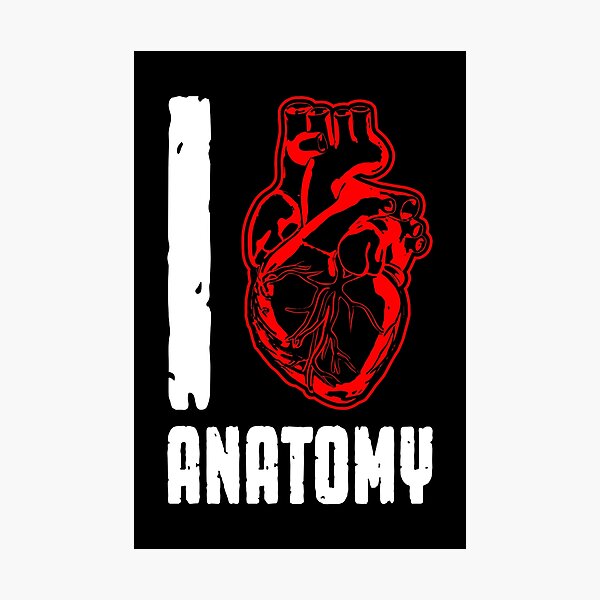 Lámina fotográfica «Amo la anatomía anatómica del corazón humano STEM ...