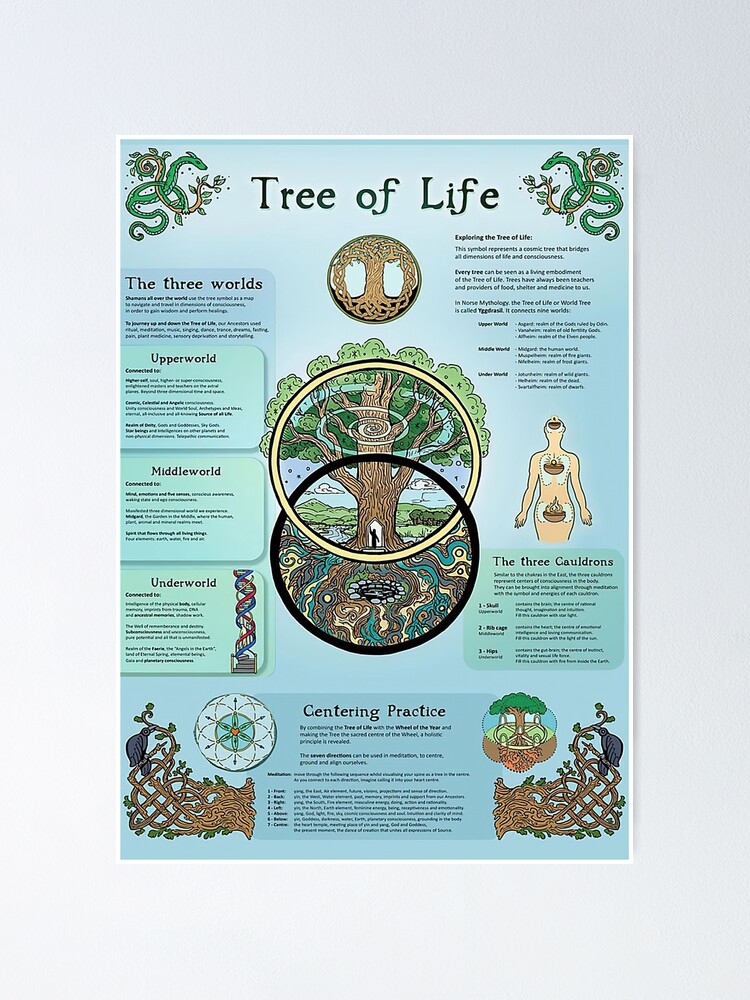 "Tree Of Life Knowledge Poster" Poster by Kalinowska-0 | Redbubble