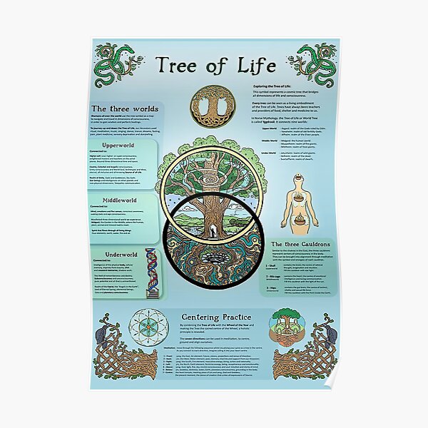 "Tree Of Life Knowledge Poster" Poster by Kalinowska-0 | Redbubble