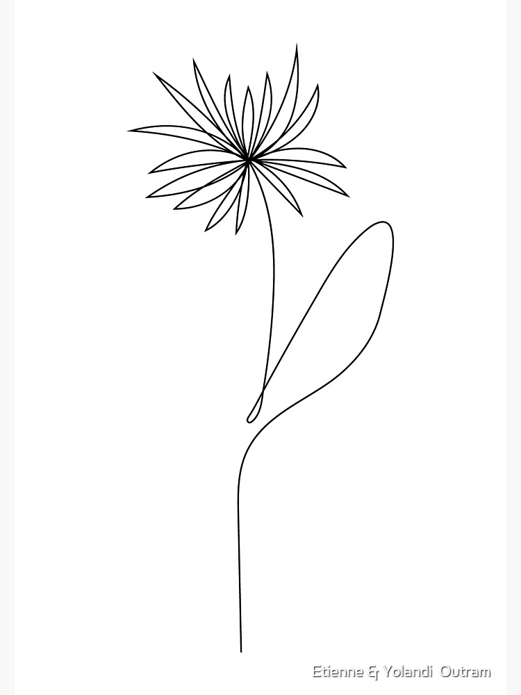 "Birthflower, September, Aster Flower, one line, contour, drawing ...