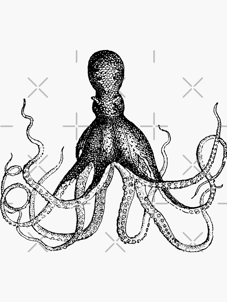 "Angry Octopus" Sticker by treasure-crafts | Redbubble