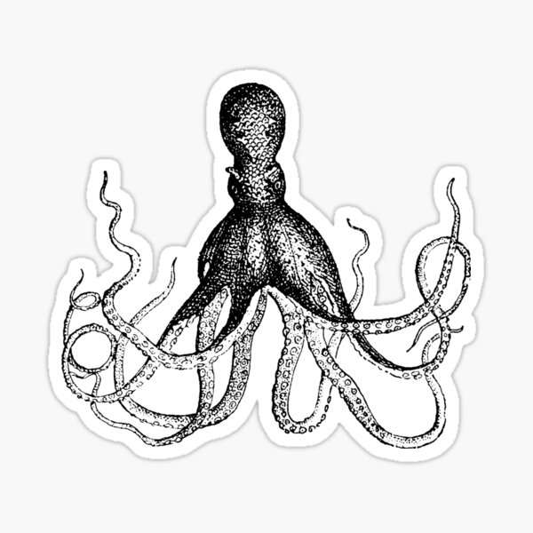 "Angry Octopus" Sticker by treasure-crafts | Redbubble