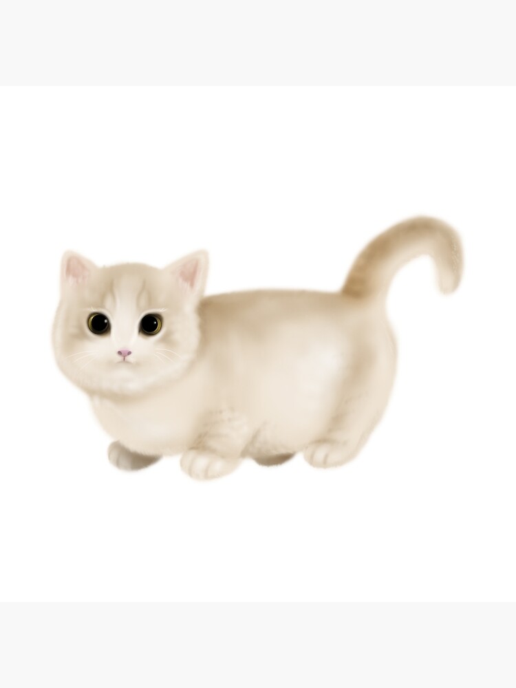 "Small Fat Cat with short legs art illustration." Poster by Martin ...