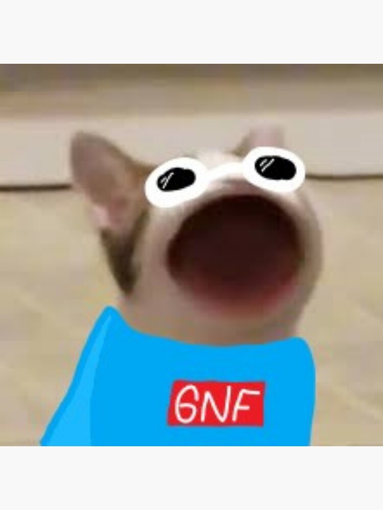 "GeorgeNotFound Pop Cat Meme" Sticker for Sale by ghnguyen | Redbubble