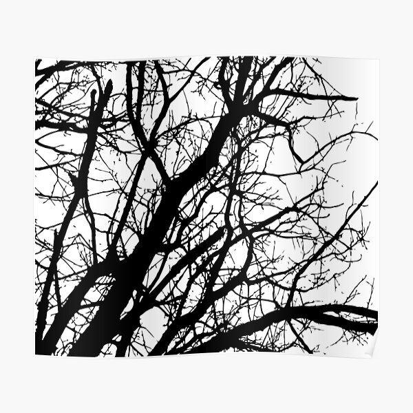 " branches" Poster for Sale by Maximinimum | Redbubble