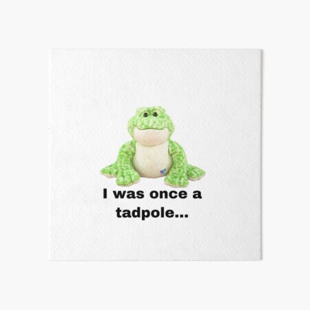 "Webkinz frog I was once a tadpole meme" Art Board Print for Sale by ...