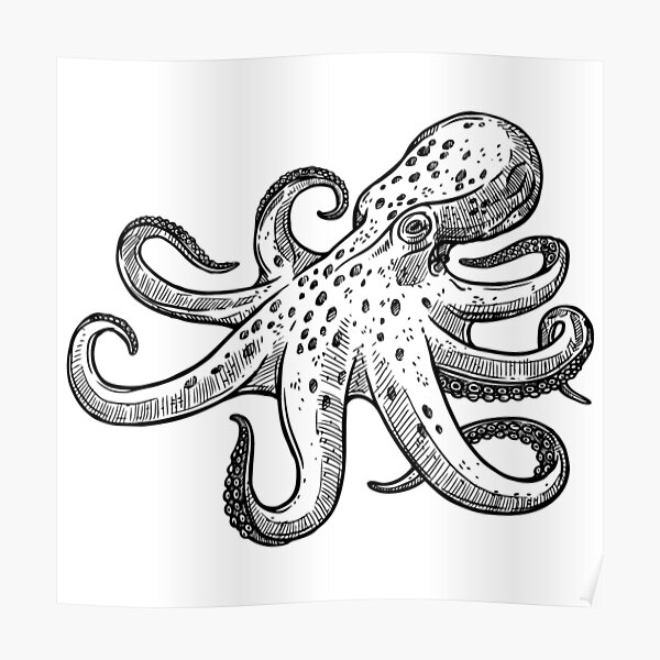 "Strong Octopus" Poster for Sale by treasure-crafts | Redbubble