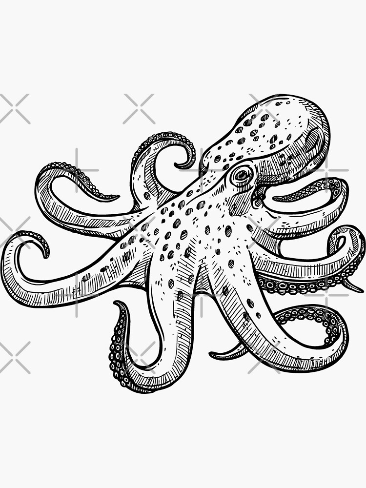 "Strong Octopus" Sticker for Sale by treasure-crafts | Redbubble
