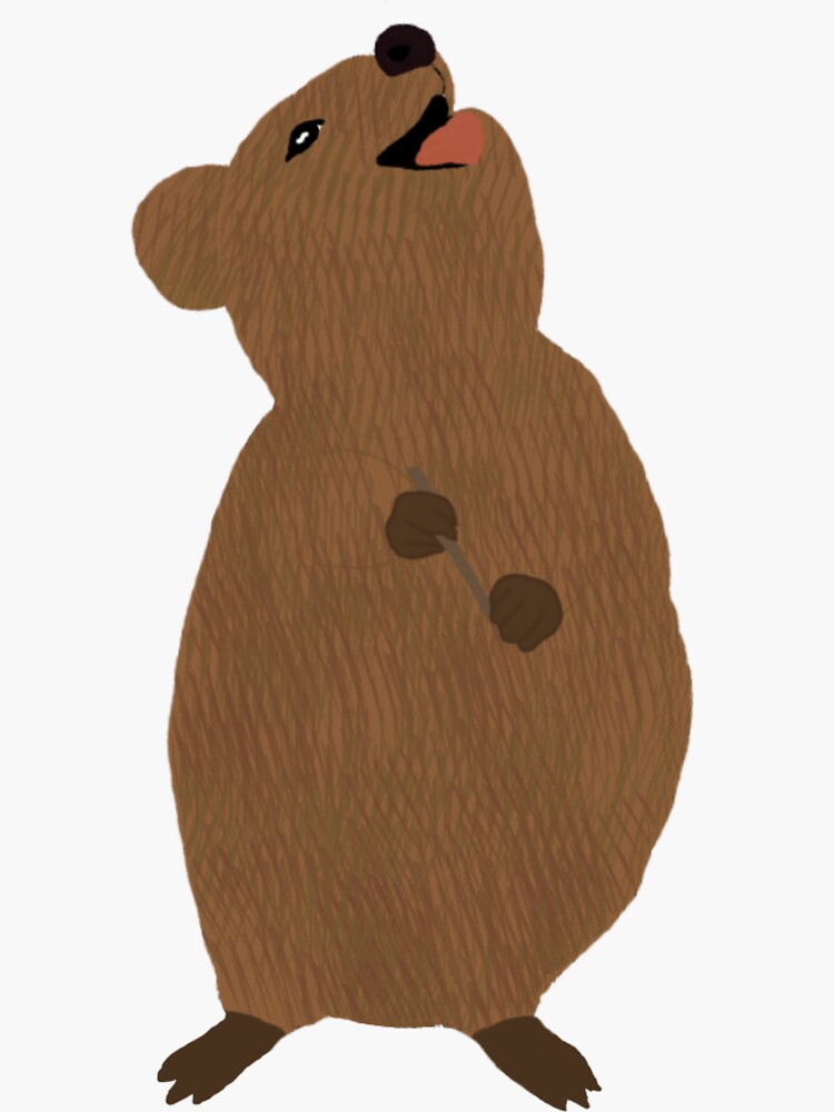 "Cute quokka design" Sticker for Sale by esterbananes | Redbubble