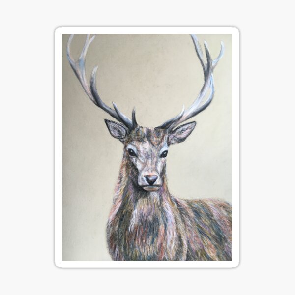 "Stag " Sticker by Merlinsmates | Redbubble