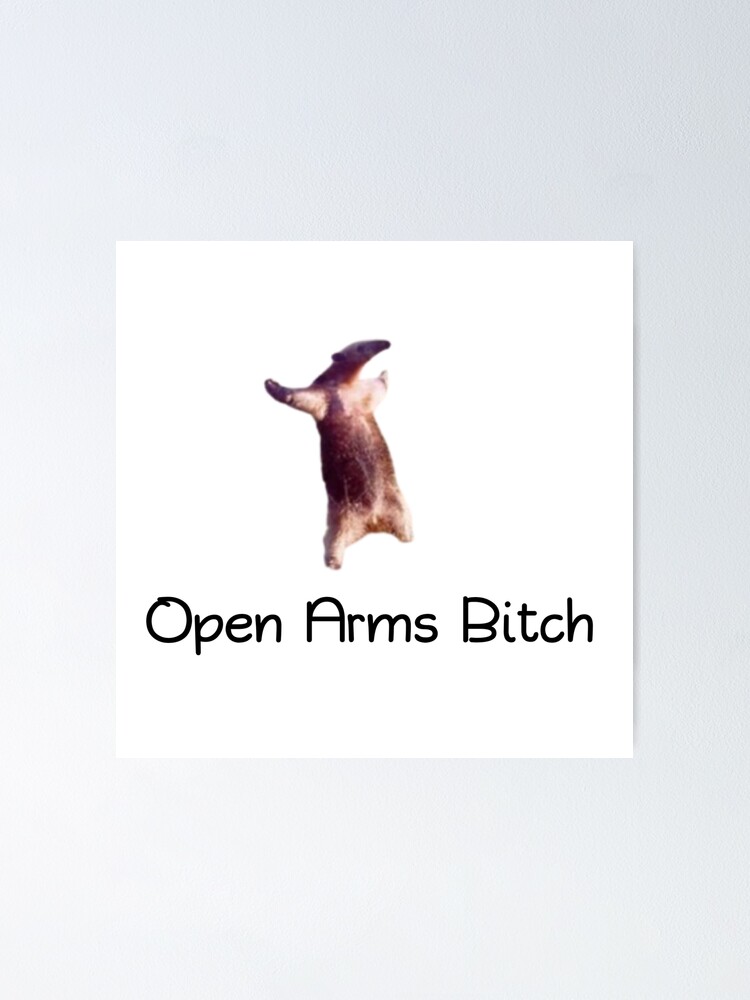 "Open Arms funny animal meme design for him and her " Poster by ...