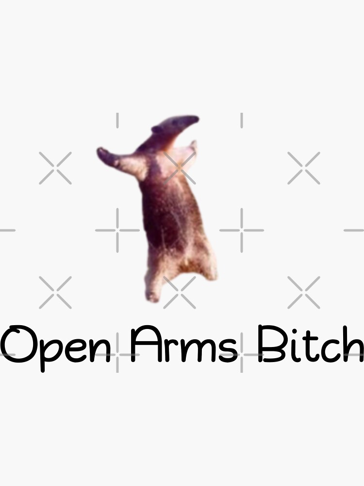 "Open Arms funny animal meme design for him and her " Sticker for Sale ...