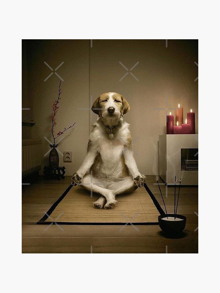 "Meditating Dog" Sticker for Sale by shiny-shay | Redbubble