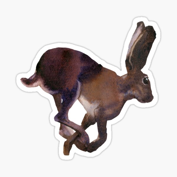 "Wildlife hare - Active Woodland Animals - Cute Bunny Hare - Watercolor ...