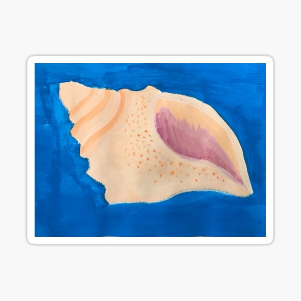 "Conch " Sticker for Sale by maddytube22 | Redbubble