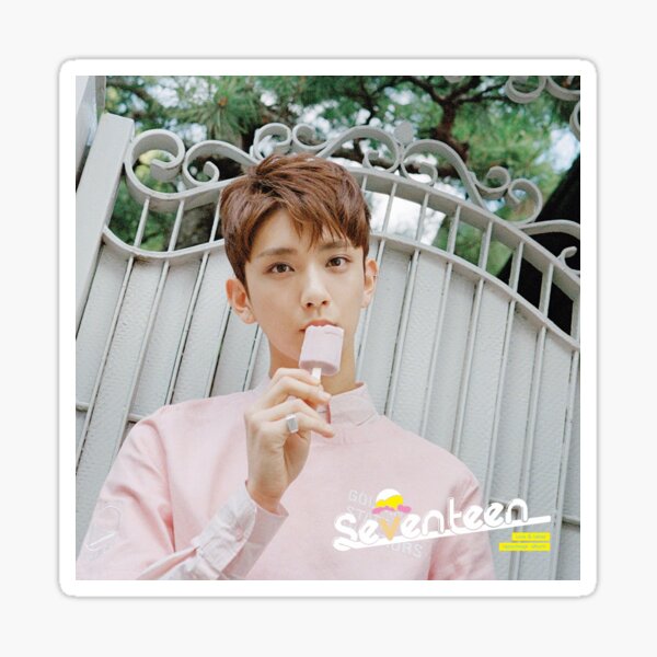 "Seventeen Very Nice - Joshua" Sticker for Sale by yumi108 | Redbubble