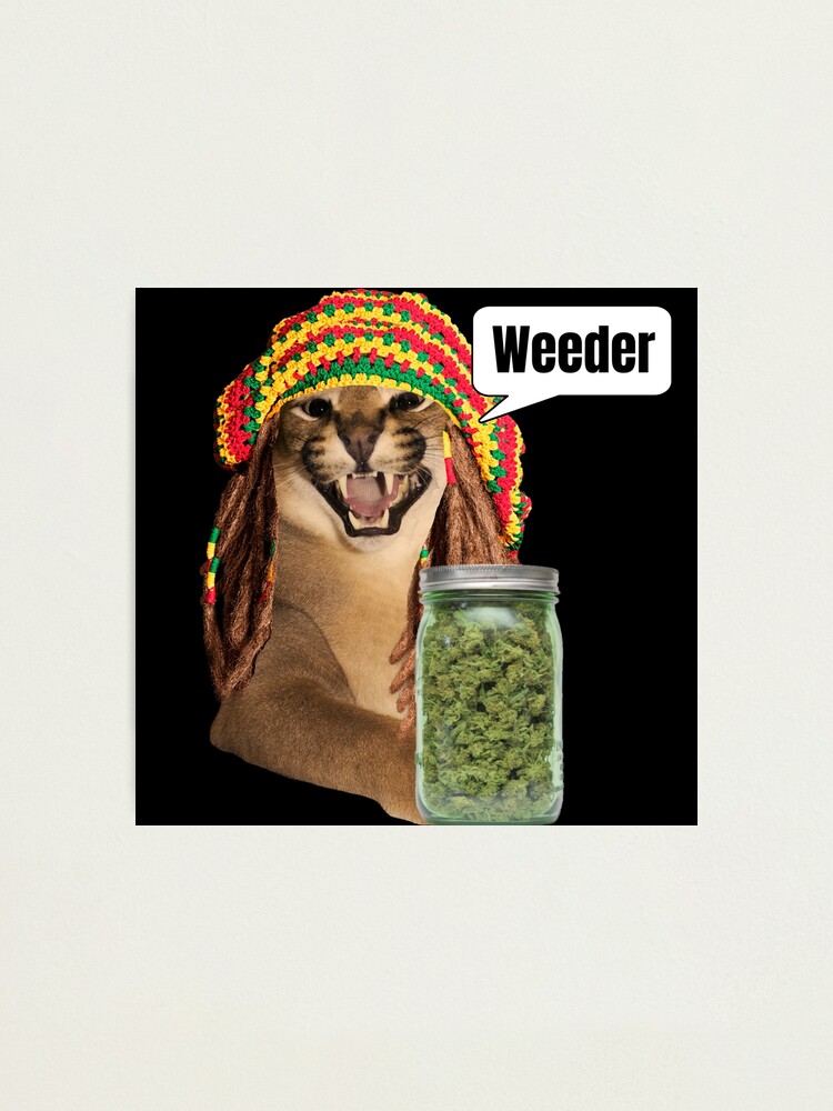 "Big Floppa Cat Meme Fanter Funny Weed (Caracal)" Photographic Print ...