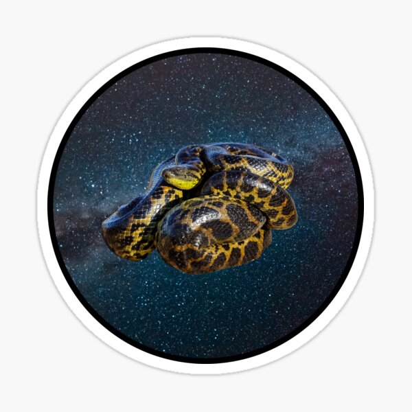 "Anaconda Universe Animals Ecology" Sticker for Sale by DiegoUrz ...