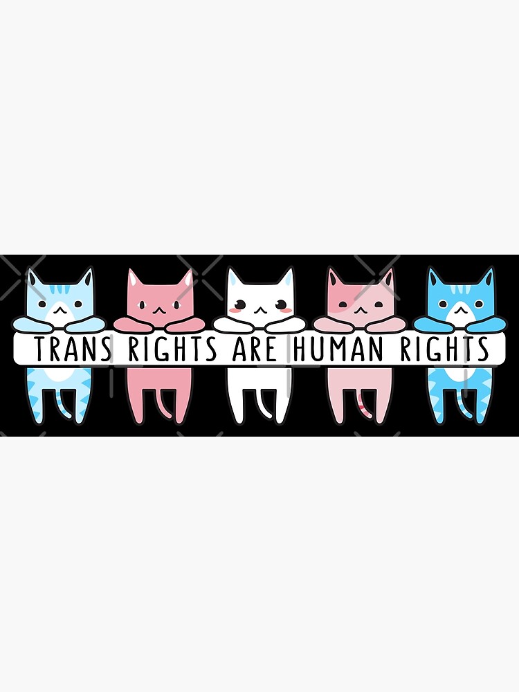 "Transgender Flag Color Cats: Trans Rights Are Human Rights" Poster for ...