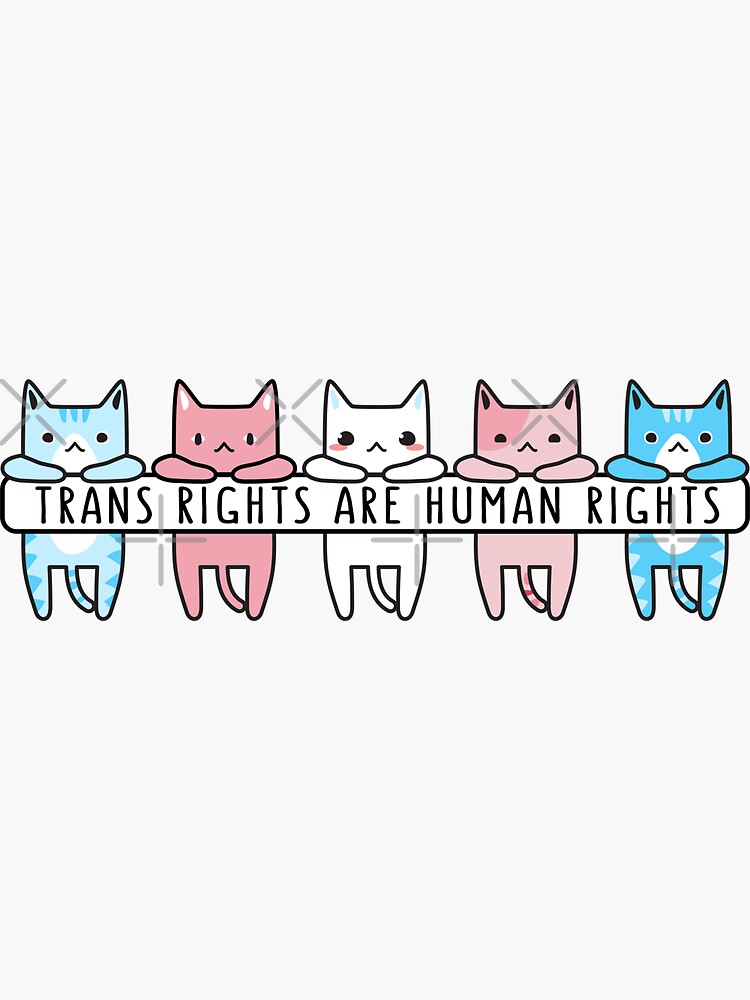 "Transgender Flag Color Cats: Trans Rights Are Human Rights" Sticker ...