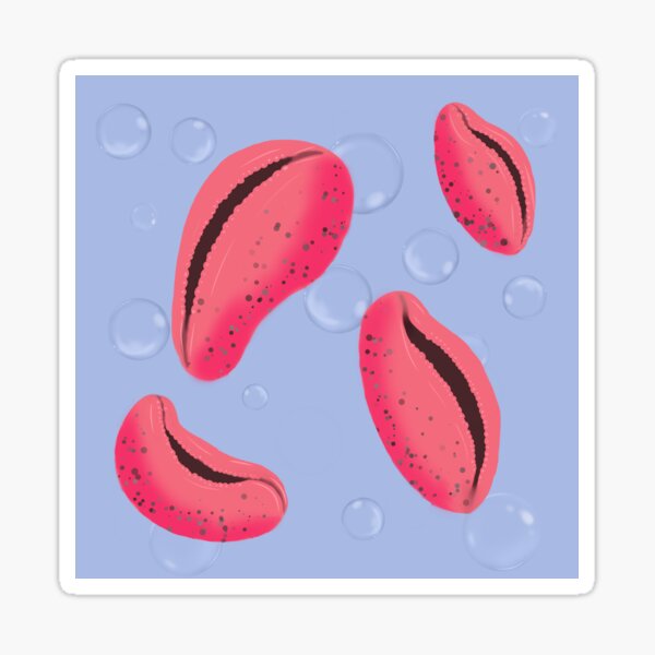 "Pink Cowrie Shells" Sticker by PrestigeFlair | Redbubble