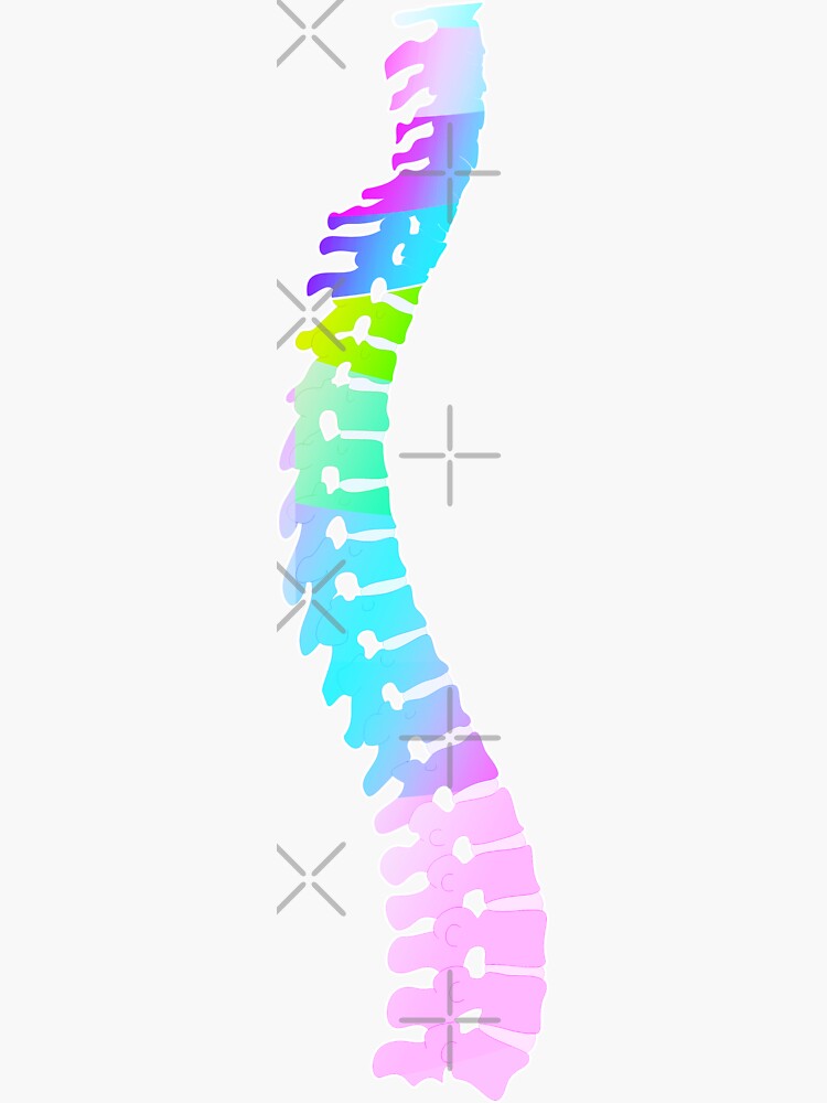 "Rainbow Human Spine" Sticker by franktact | Redbubble
