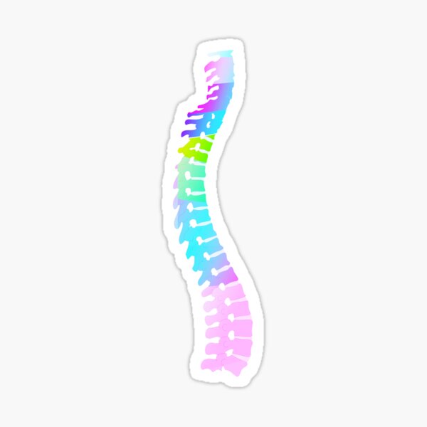 "Rainbow Human Spine" Sticker by franktact | Redbubble