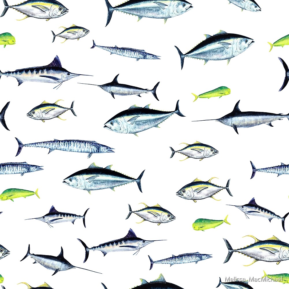 "The Fish Jam - Predators of the Atlantic Ocean, wahoo, tuna, marlin ...