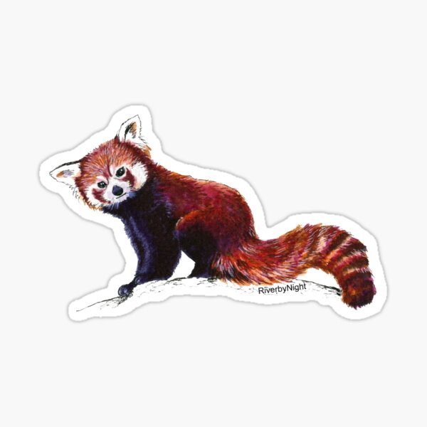 Red Panda Stickers | Redbubble