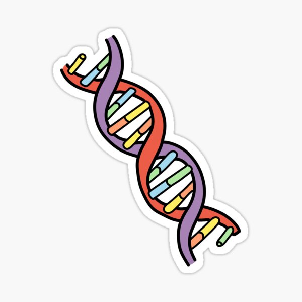 "Colorful DNA Double Helix" Sticker for Sale by Anastasia-4-art | Redbubble