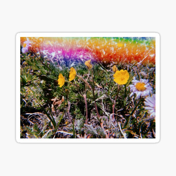"Dream Haze Flower" Sticker by uhhOui | Redbubble