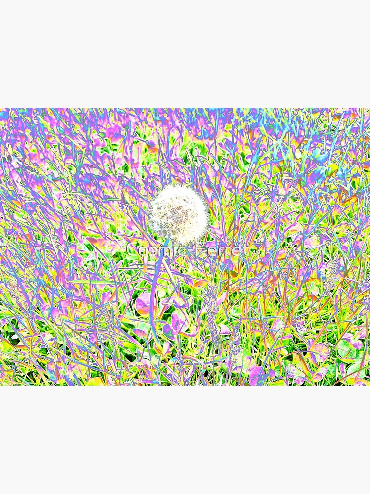 "Dandelion in Spring - Psychedelic Pastel Digital Painting - Aesthetic ...