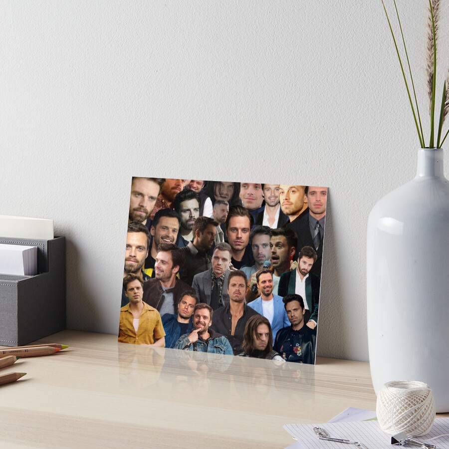 "Sebastian Stan Photo Collage" Art Board Print by morinoon | Redbubble