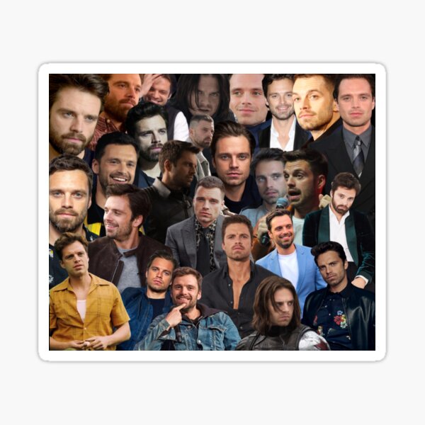 "Sebastian Stan Photo Collage" Sticker by morinoon | Redbubble