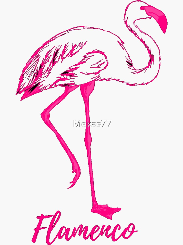 "Flamenco means FIRE. The word Flamingo comes from the Spanish and ...