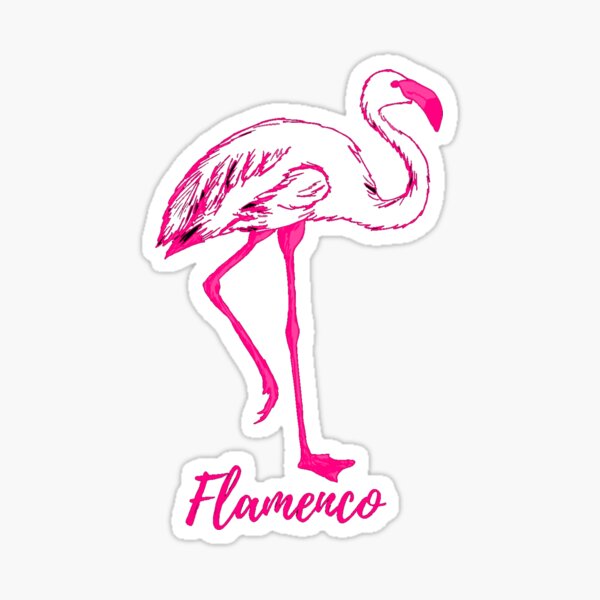 "Flamenco means FIRE. The word Flamingo comes from the Spanish and ...