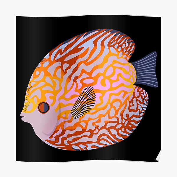 "Discus!" Poster by libraryrat | Redbubble